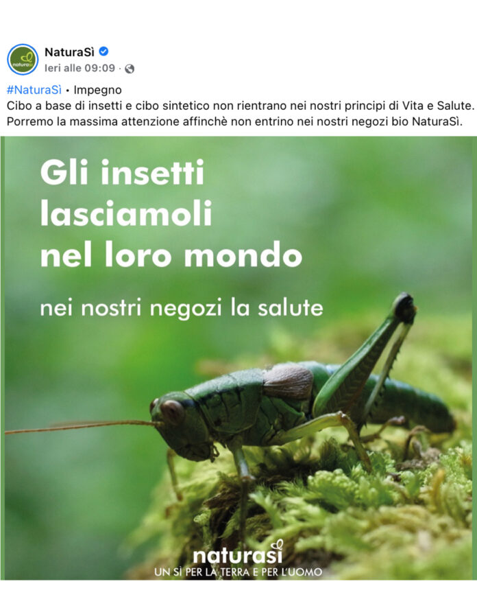 Nota catena di supermercati italiani "distrugge" il cibo a base di insetti: il cartello diventa ...